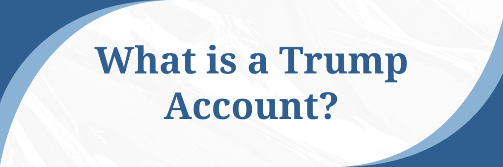 What is a Trump Account? - The Tax Professional Group